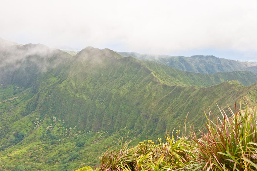 HikeOneHikeAll Hawaii: Upper Manoa Falls to Konahuanui