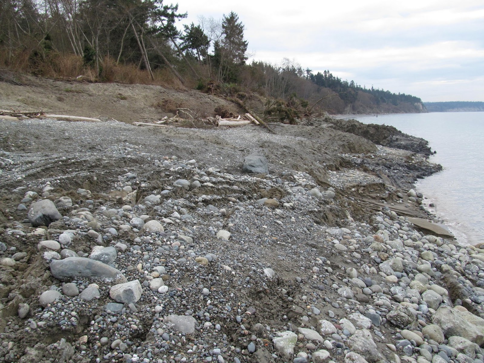 Gravel Beach: Ledgewood Beach