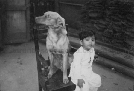 Tarun Bose and the World of Cinema: Unlocking Memories