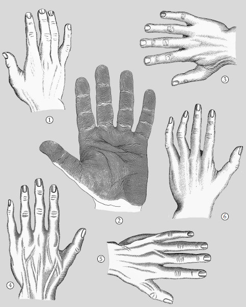 Daigdig Ng Kababalaghan MYSTICAL DISCOVERY And RESEARCH PALMISTRY daigdig-ng-kababalaghan-mystical-discovery-and-research-palmistry