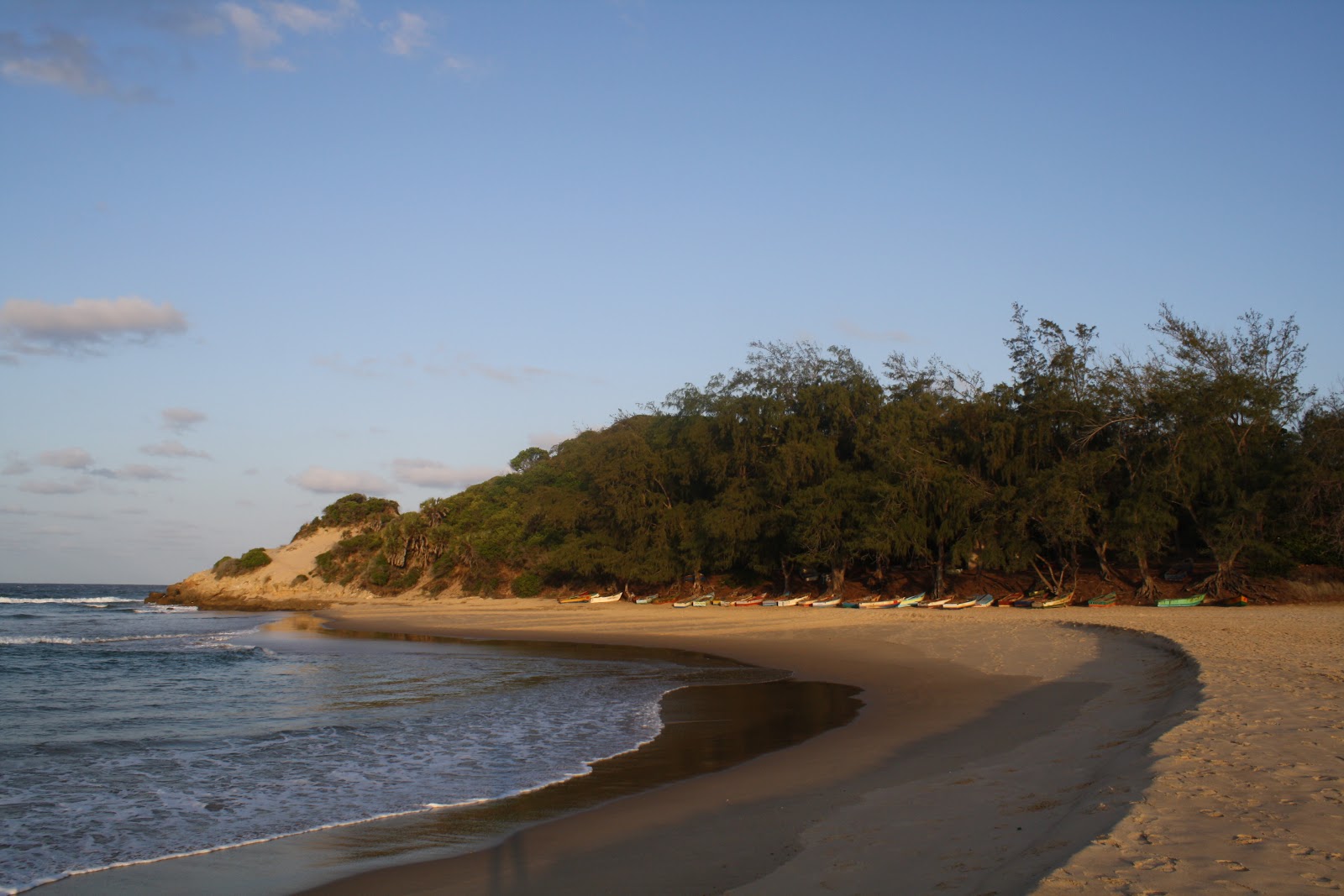 crocodilo vaidoso: praia do tofo - inhambane - moçambique
