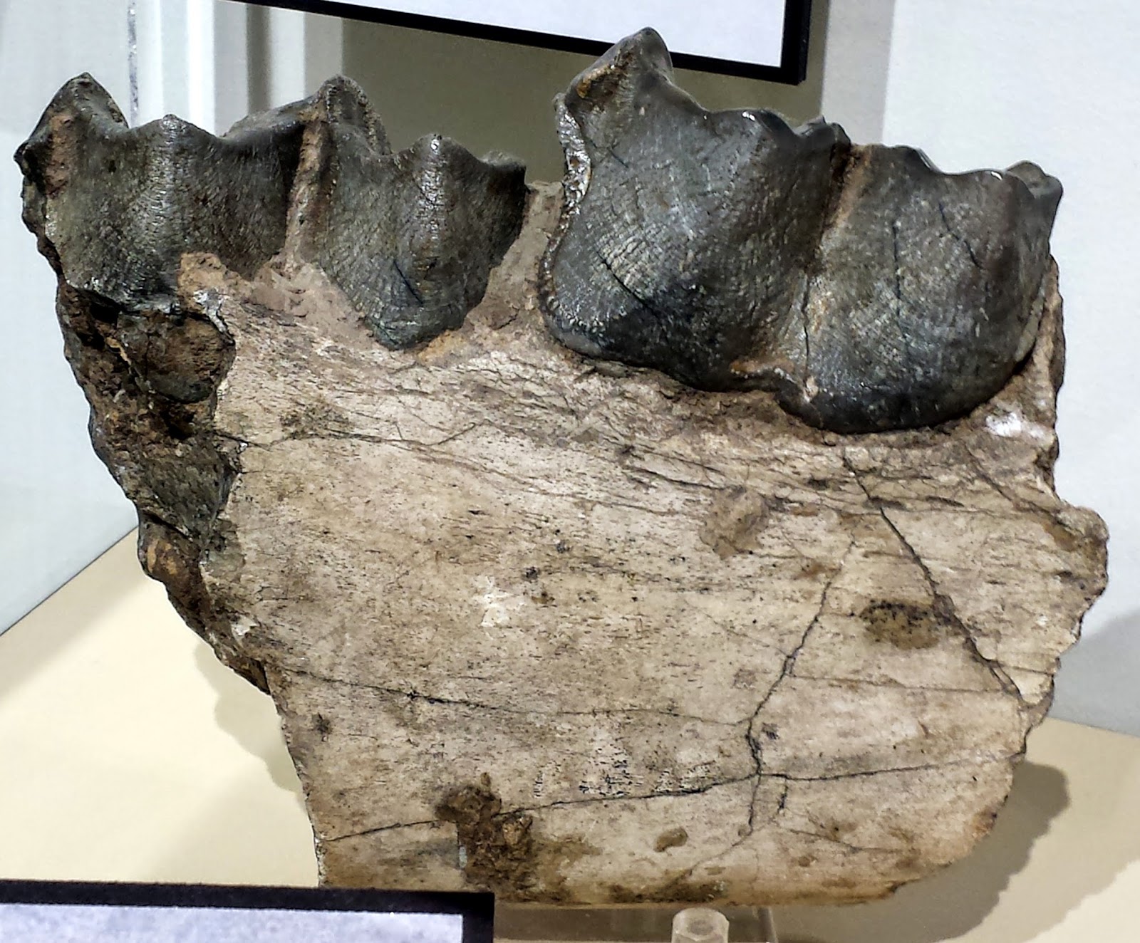 History and Culture by Bicycle: Nature's Kaleidoscope: Digging into the ...