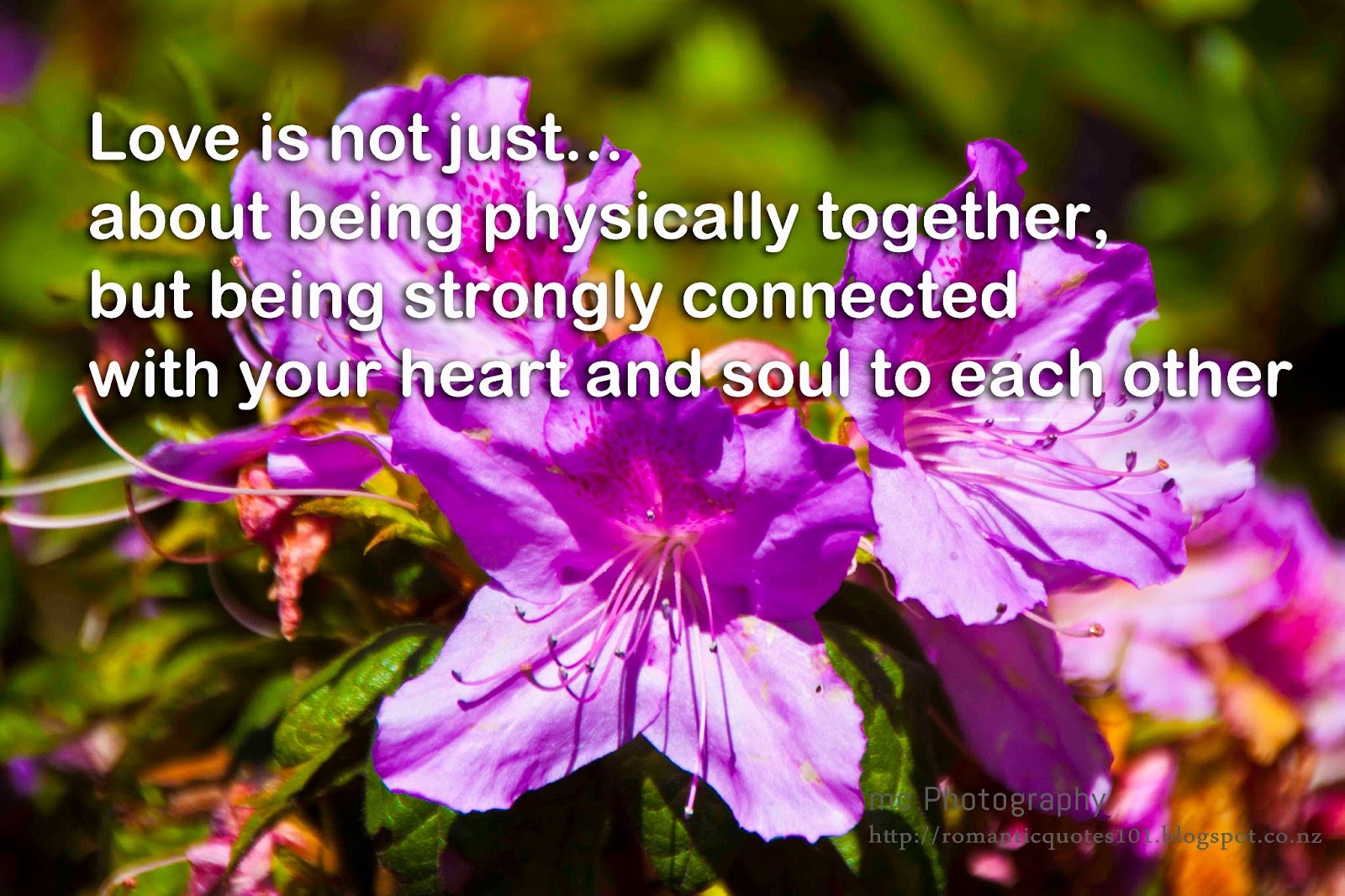 Love with your heart and soul | Love Quotes