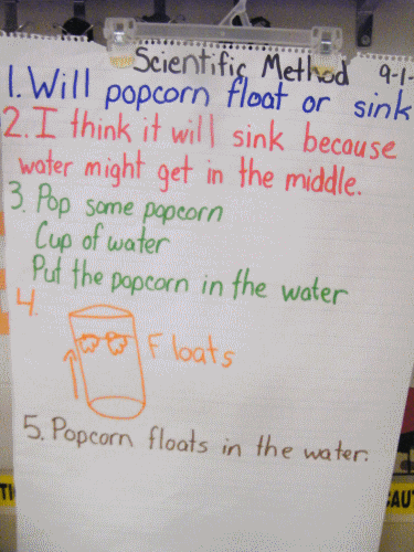 Mrs. Robbins' 2nd Grade: Teaching the Scientific Method with Popcorn