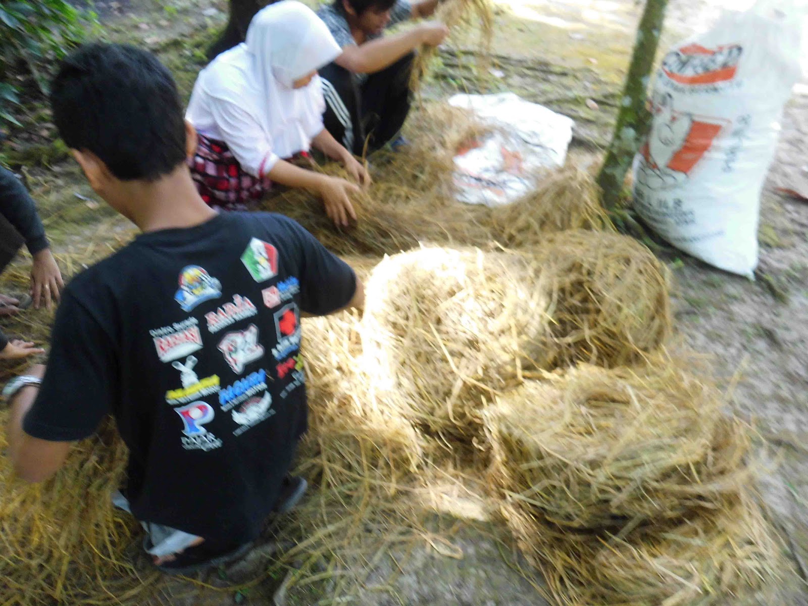 Desa Bunga Raya: PEMBUATAN KOMPOS JERAMI UNTUK BUDIDAYA JAMUR MERANG