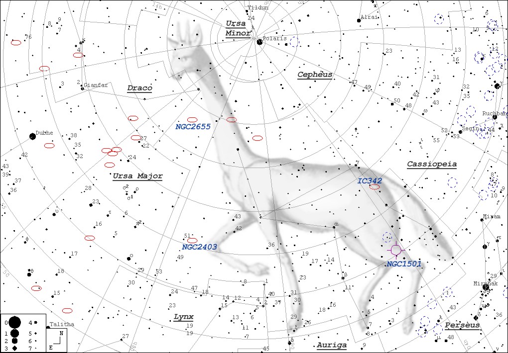 Alli's Alley: Wildlife Wednesday: Giraffe