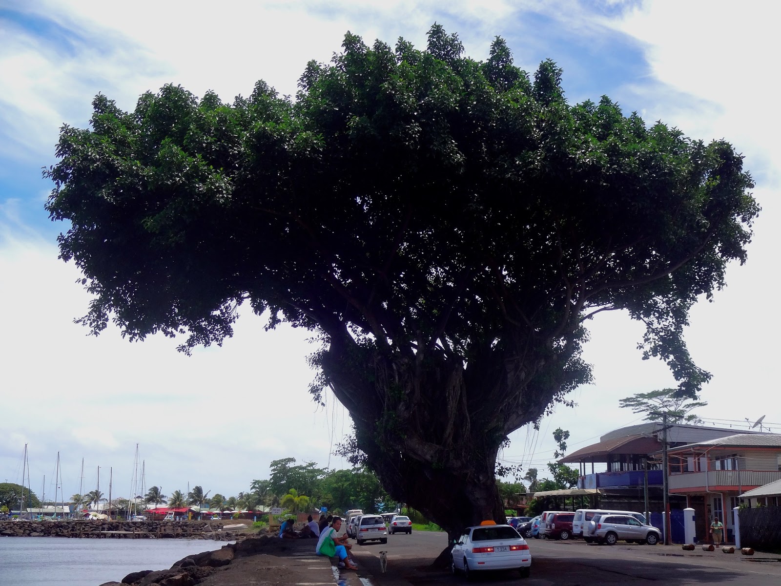 Spirit of Samoa: My Life in Photos
