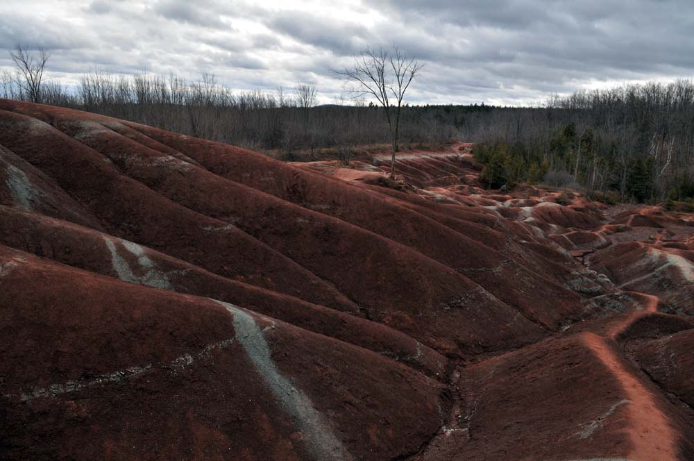 Toronto Grand Prix Tourist - A Toronto Blog: Looking for dinosaurs in ...