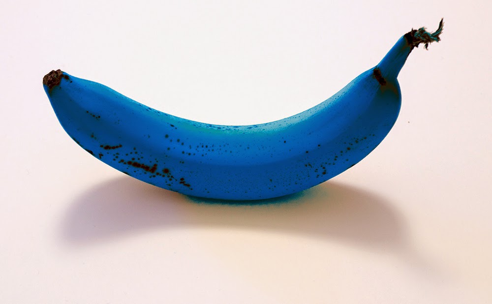 PREMIÈRE SECTION EUROPÉENNE DNL History & Geography: What is the "blue ...