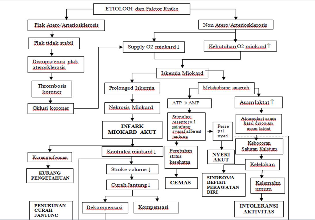 My Life My Adventure: ASKEP INFARK MIOKARD AKUT (IMA)