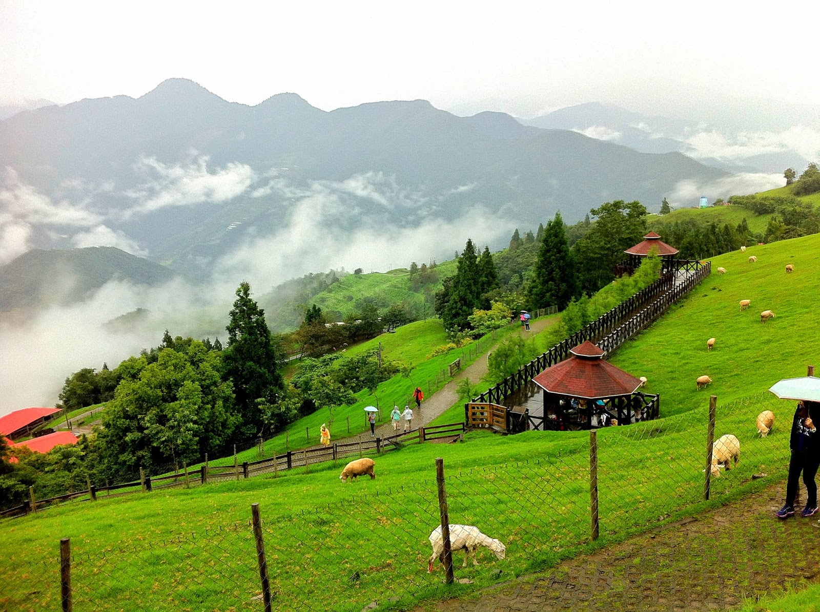 我爱台湾！: Cingjing Farm (清境草原)