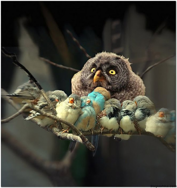 Beautiful World : Very Funny Pictures