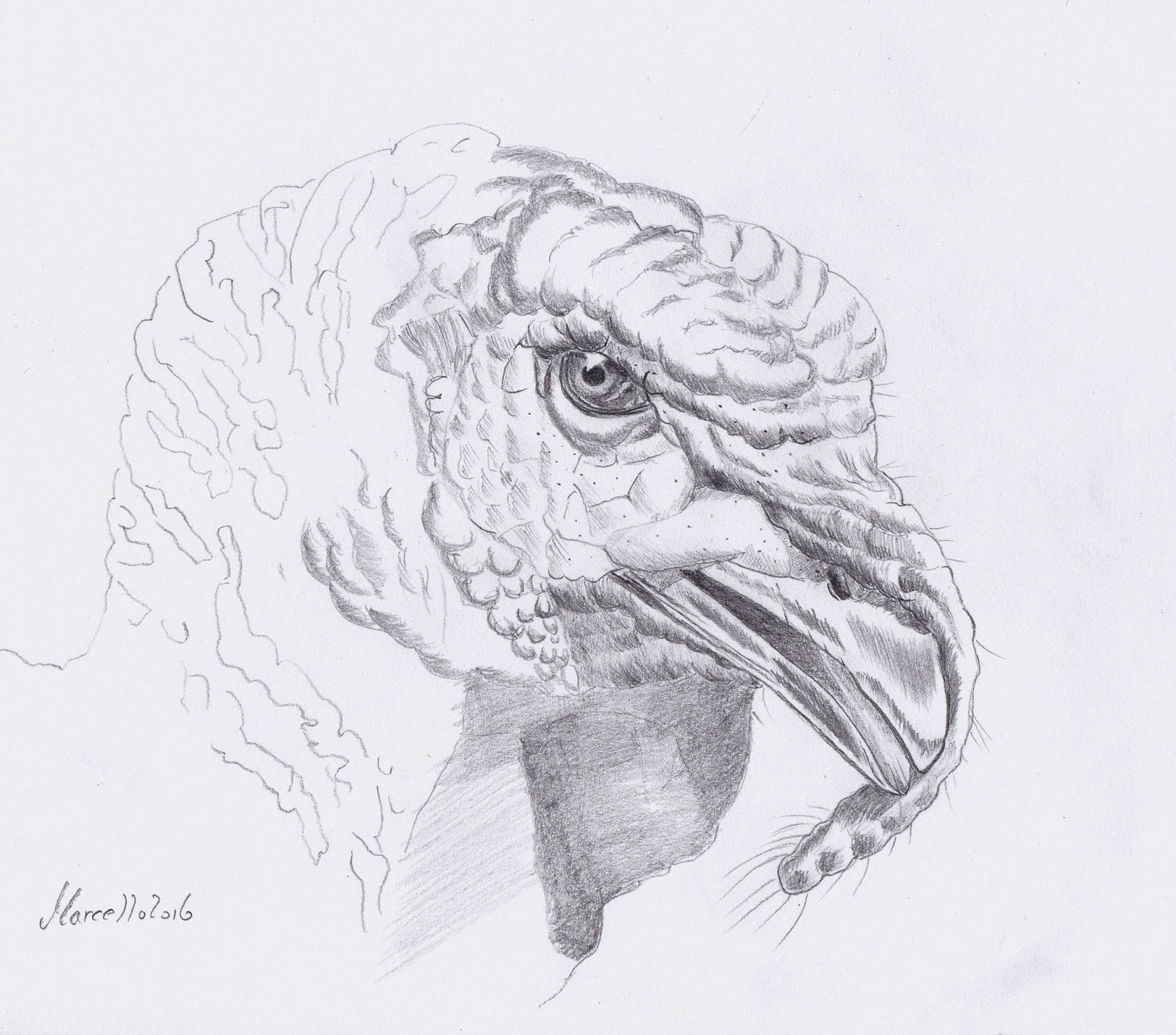 risanje, slikanje in tetoviranje: junij 2016