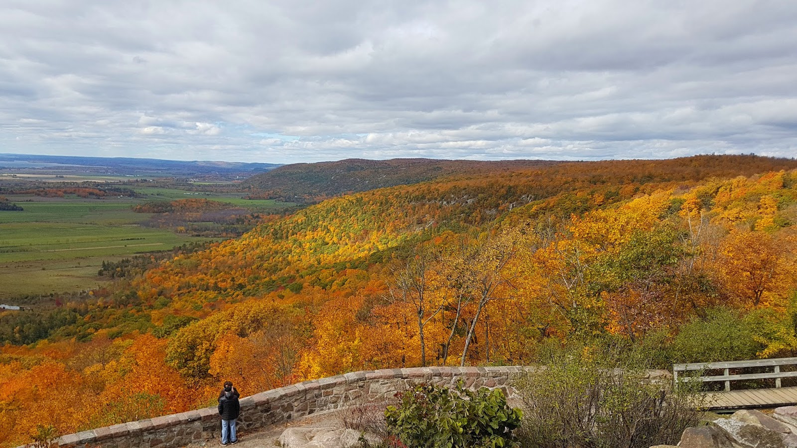 The Brown Knowser: October 2018