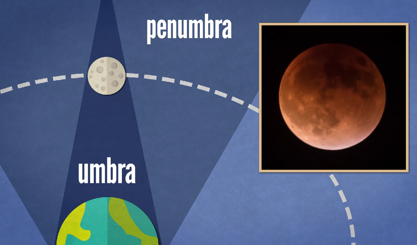 The Novice Writer: Blue Moon Explained!!