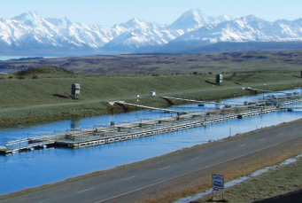 Traveler Guide: Tourism | Christchurch