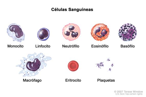 LABORATORIO CLÍNICO Y BIOMÉDICO: noviembre 2017