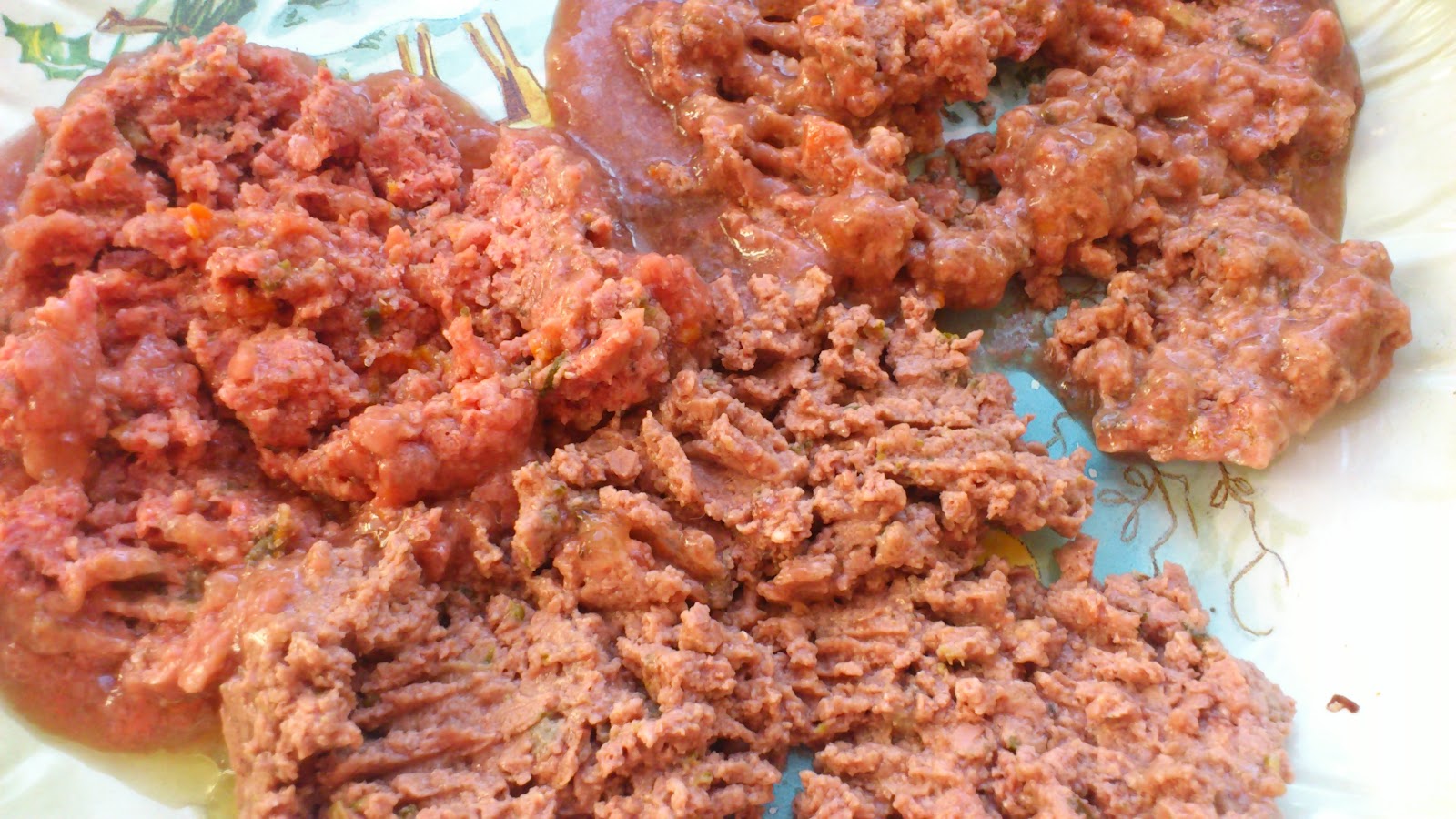 Miss Glitzer`s Testblog : Tolles Futter für Katzen von Terra Canis