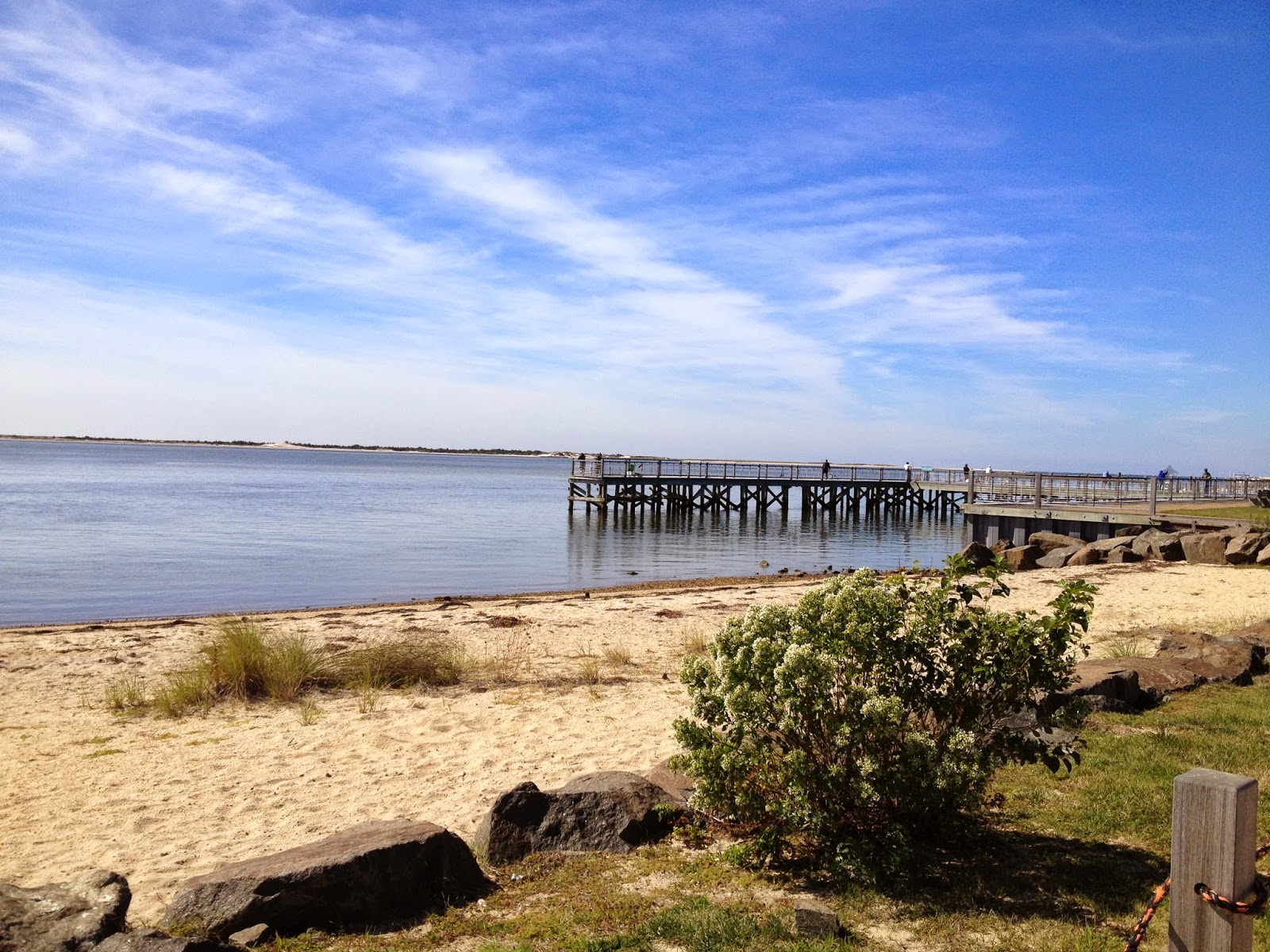 Gear Head Cats: OBI...Oak Beach Inn