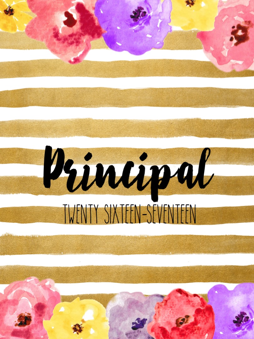 Principal Binders, Teacher Binders and Post it Tabs - Stephanie ...