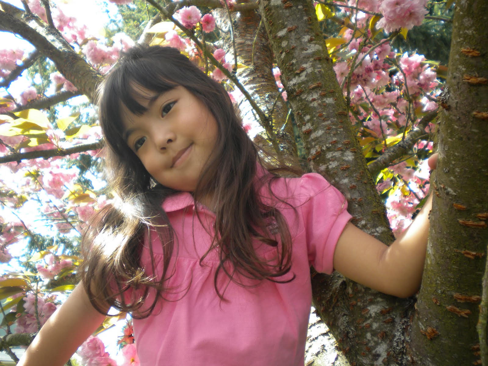 LIFE with LEXIE: Lexie's Pink Tree