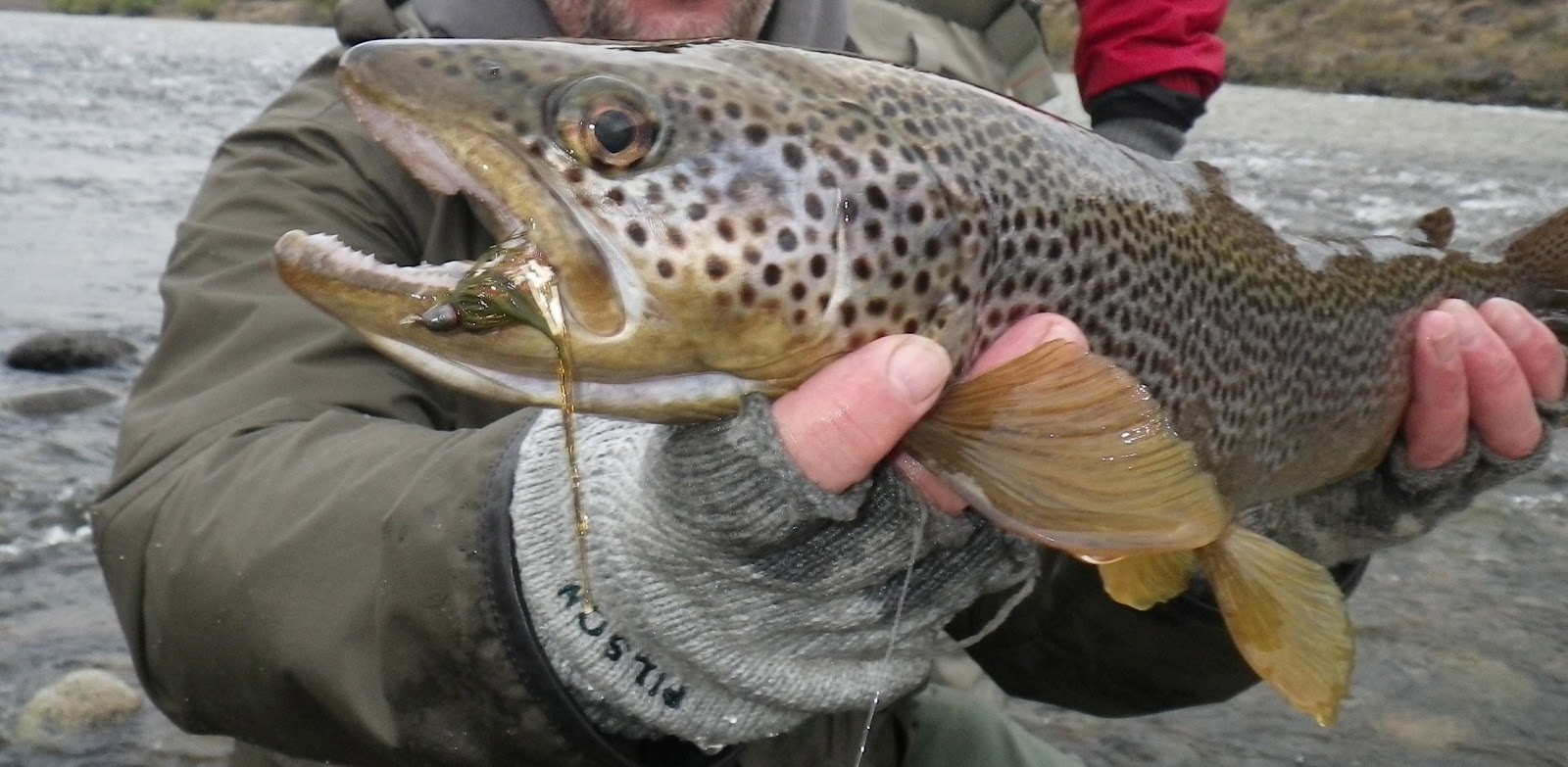 First Cast Fly Fishing: Fly Fishing Patagonia: Junin de los Andes ...