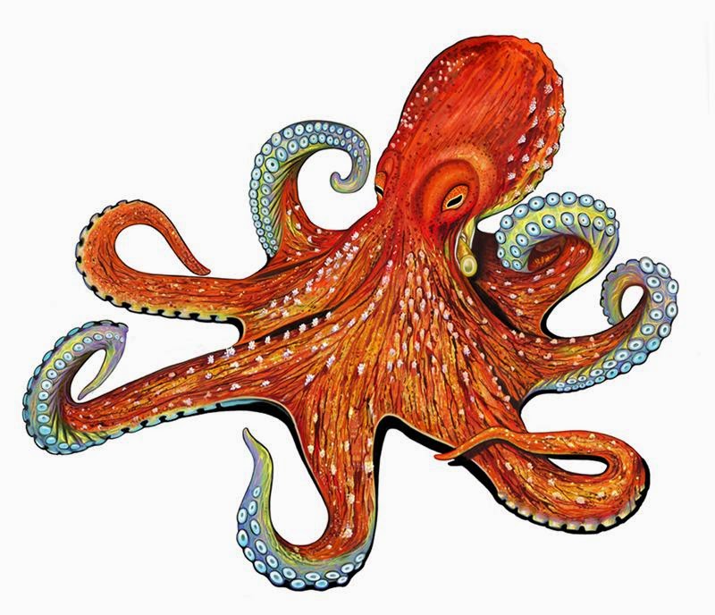 Octopus: Defense