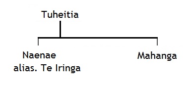 Te Whare Korero o Maahanga : Mahanga Tainui - Mahanga Tuhoe