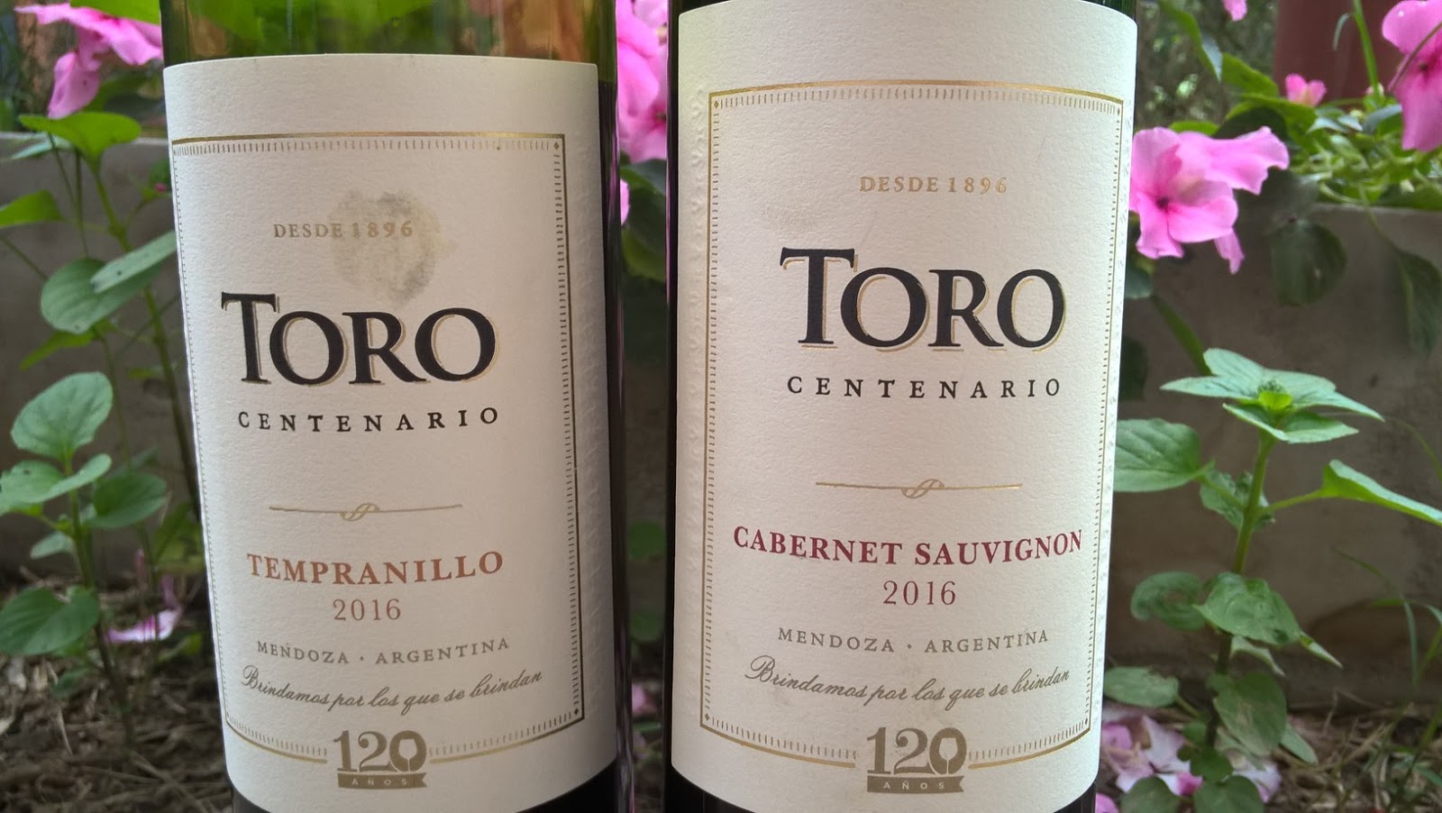 Vinos de Super. Toro Centenario.