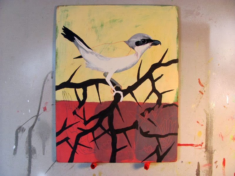 Dave Bain Blog: Butcher Bird