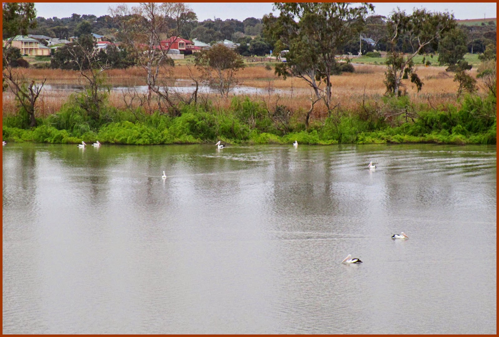 A Good Look Around : Wellington - South Australia