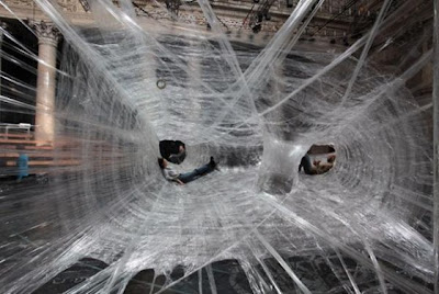 Strange world: World’s Largest Spider Web Ever Spun