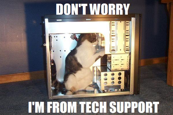 Don't worry, i'm from tech support | Funny Cat Pictures
