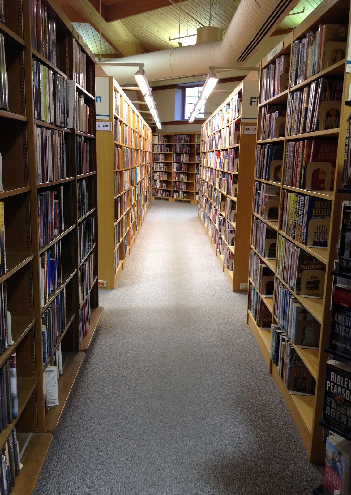 Susan Marie : The Julia Boyer Reinstein Library [Documenting Libraries]