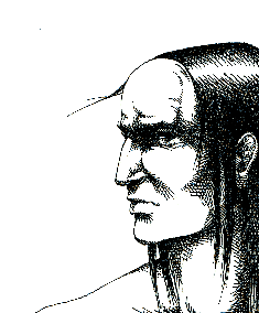 Jesse's Blog: Moby Dick: a Book Report