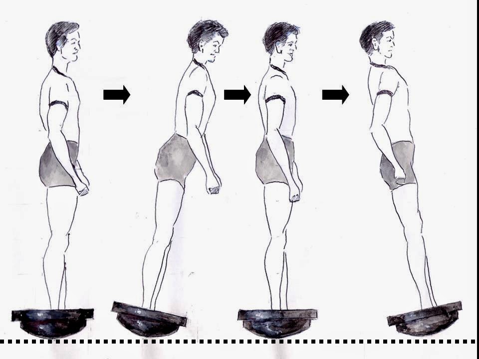 Método De Entrenamiento Del Vestíbulo