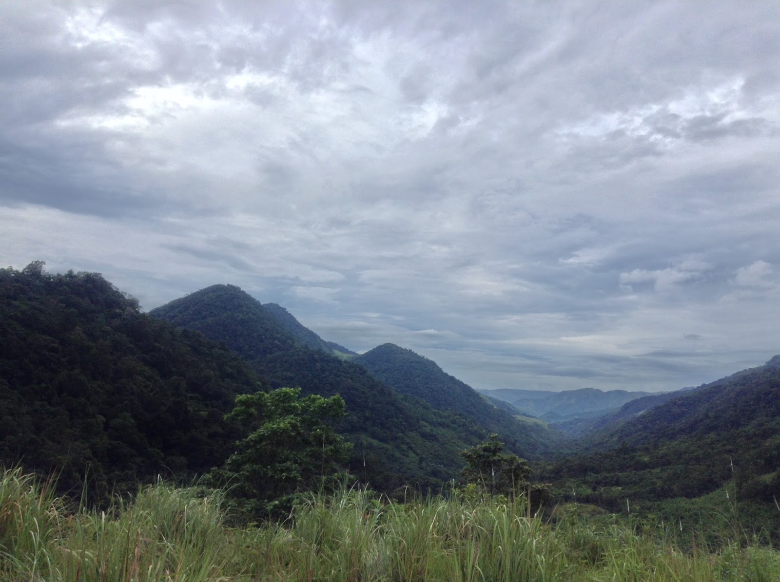 An Unforgettable Day Hike: Mt Irid, Rizal's Highest Mountain - From The ...