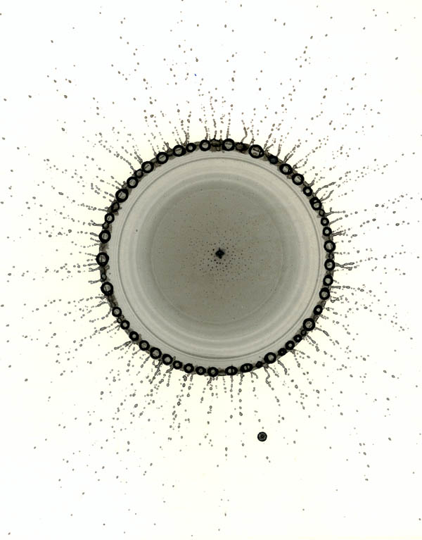 InsArDe: Awesome Ink Bubble Drawing by Roland Flexner