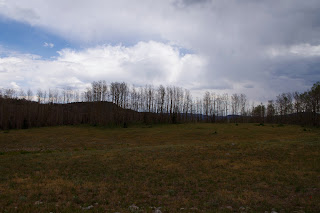 Southern New Mexico Explorer: Canjilon Mountain Trail- Carson National ...