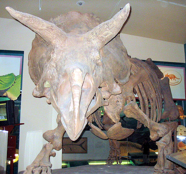 Enciclopedia Basica Los Dinosaurios Son Un Grupo Extinto De Reptiles
