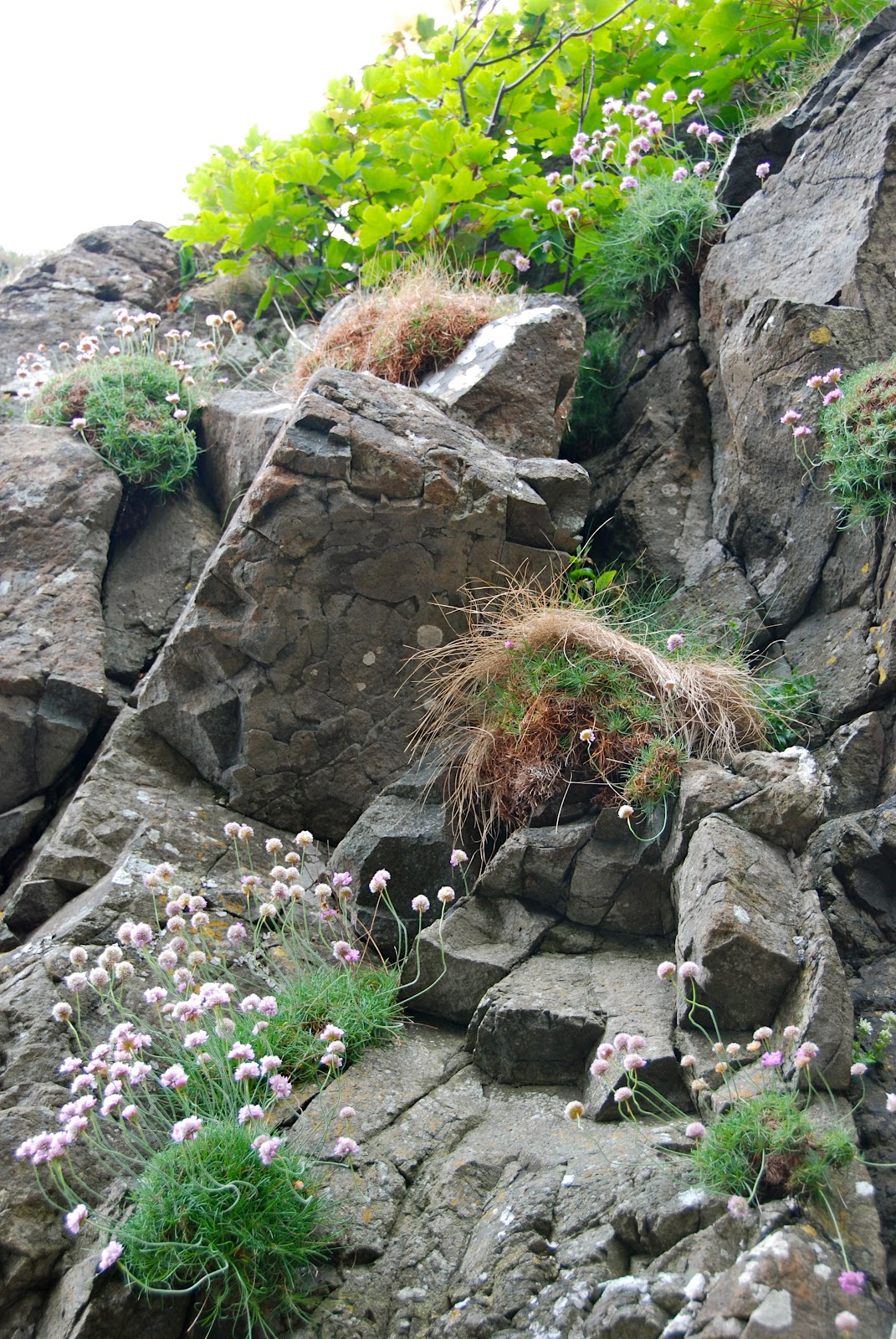 imac's Photos from the Minds Eye: Maybole Beach - Ayrshire - Scotland
