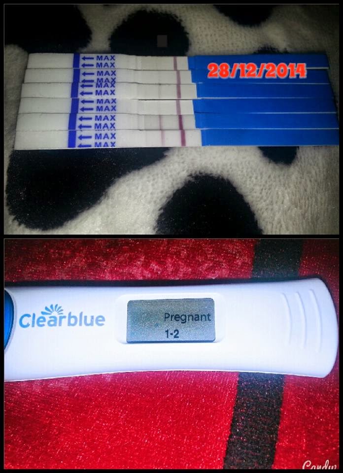 PREGNANCY TEST (UPT) MURAH GALLERY | Ovulation test kit (opk ...