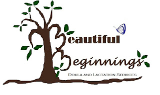 Beautiful Beginnings Doula and Lactation Services