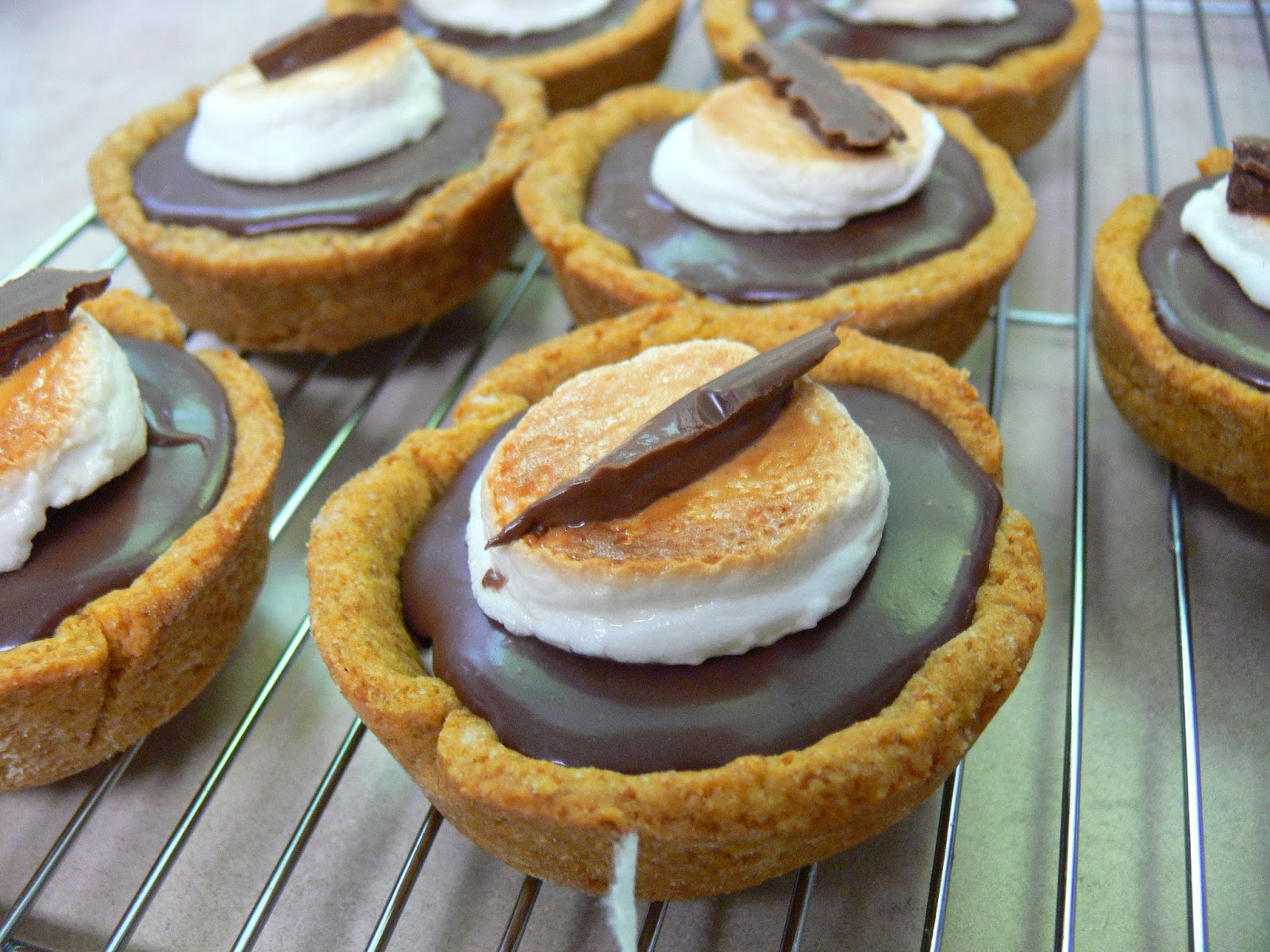 The Ultimate Chocolate Blog: S’mores Cheesecake Tart with a Rich Milk ...