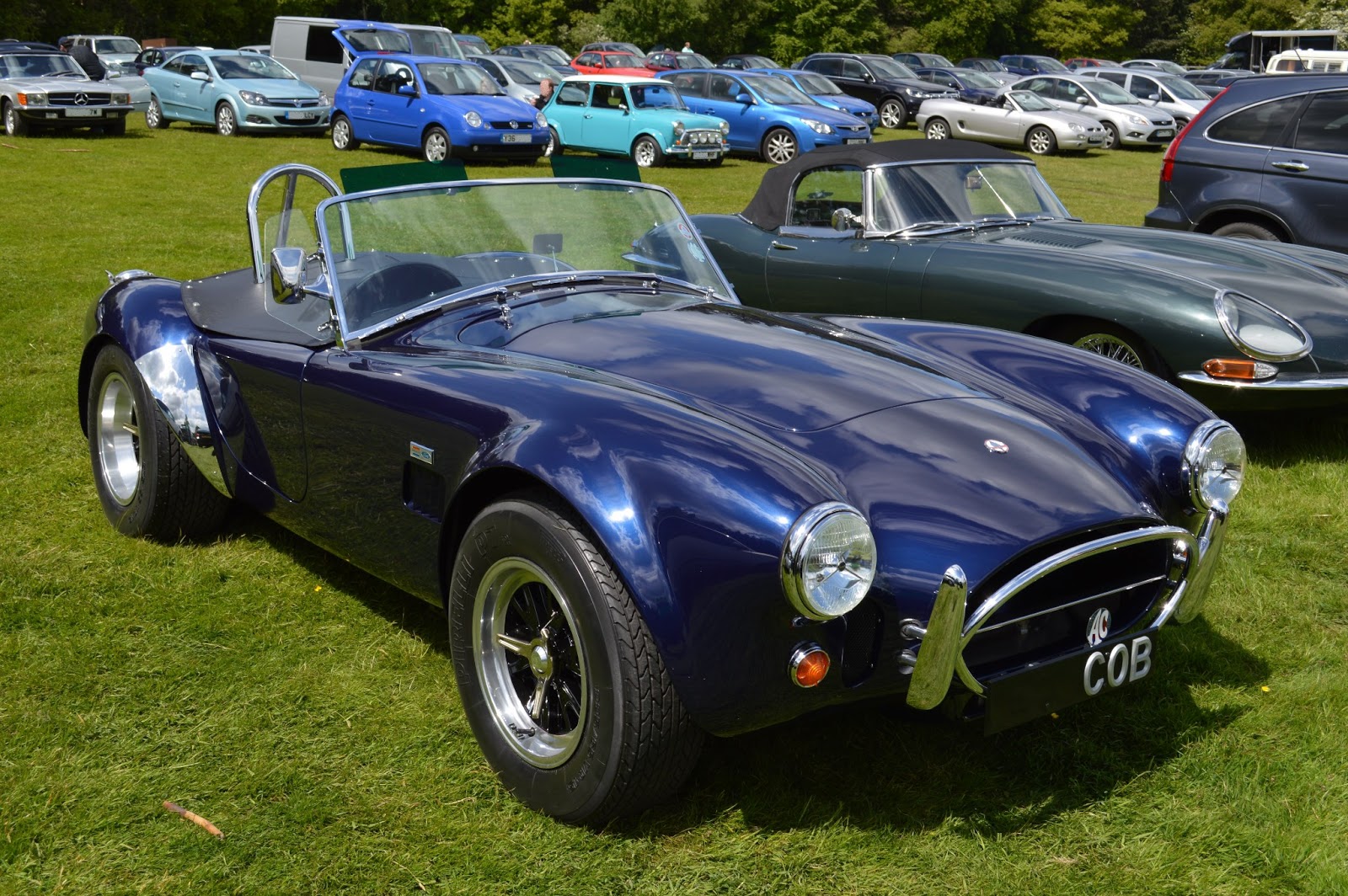 AC Cobra in Tatton Park (UK) [OC][940x625] : r/carporn