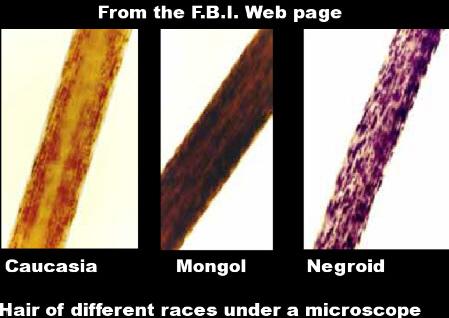 Forensic Research: Hair/Fiber Analysis
