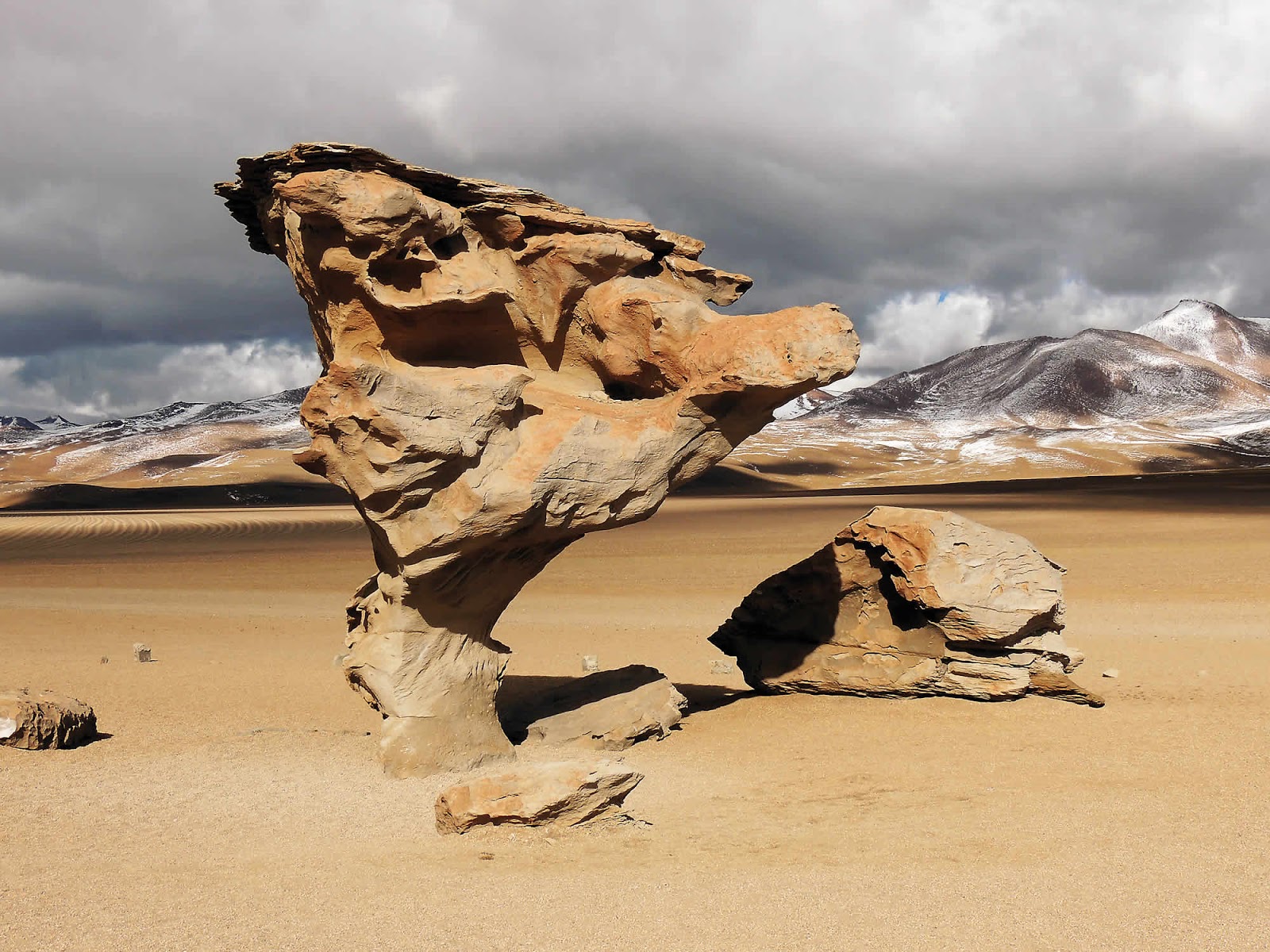 Rock Tree - Bolivia Travel, Tours, Hotels, Attractions