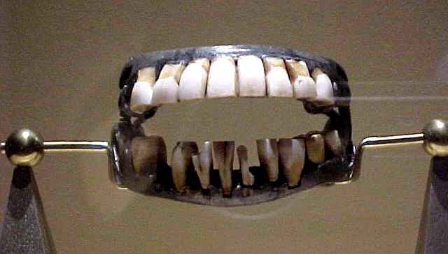 President George Washington: Commander-in-Chief Washington