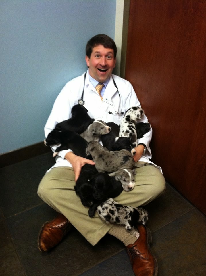 If Dogs Could Talk: April 2014