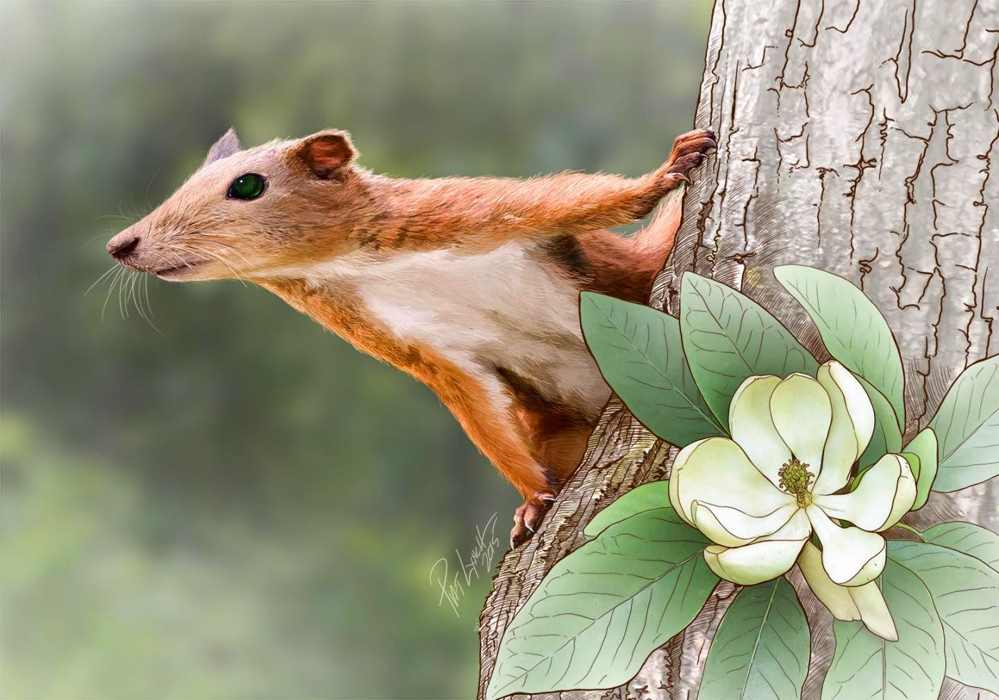 Paleocene Primates